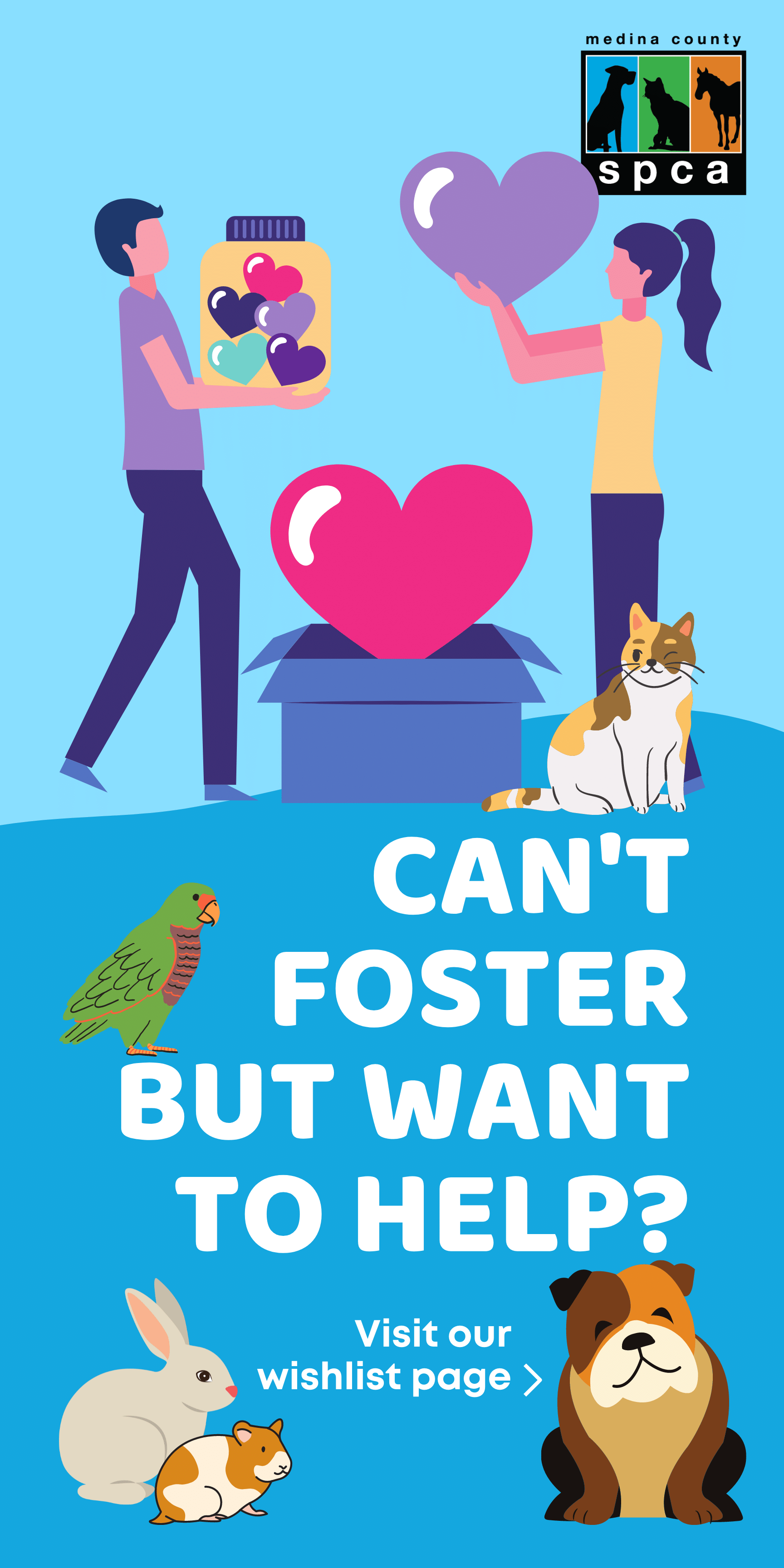 Foster Care Program | Medina County SPCA