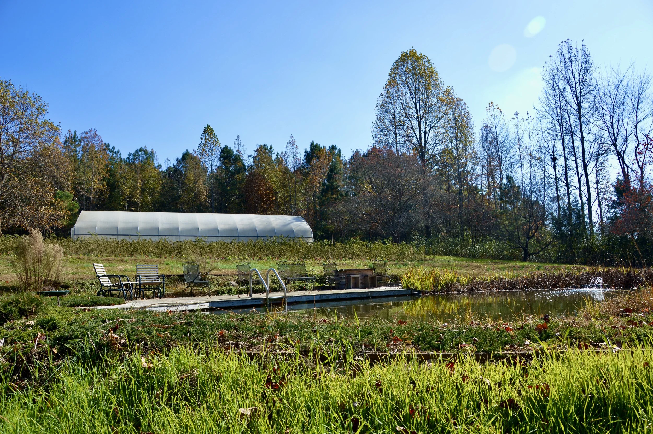 General 4 — Wildflower Lane Farm