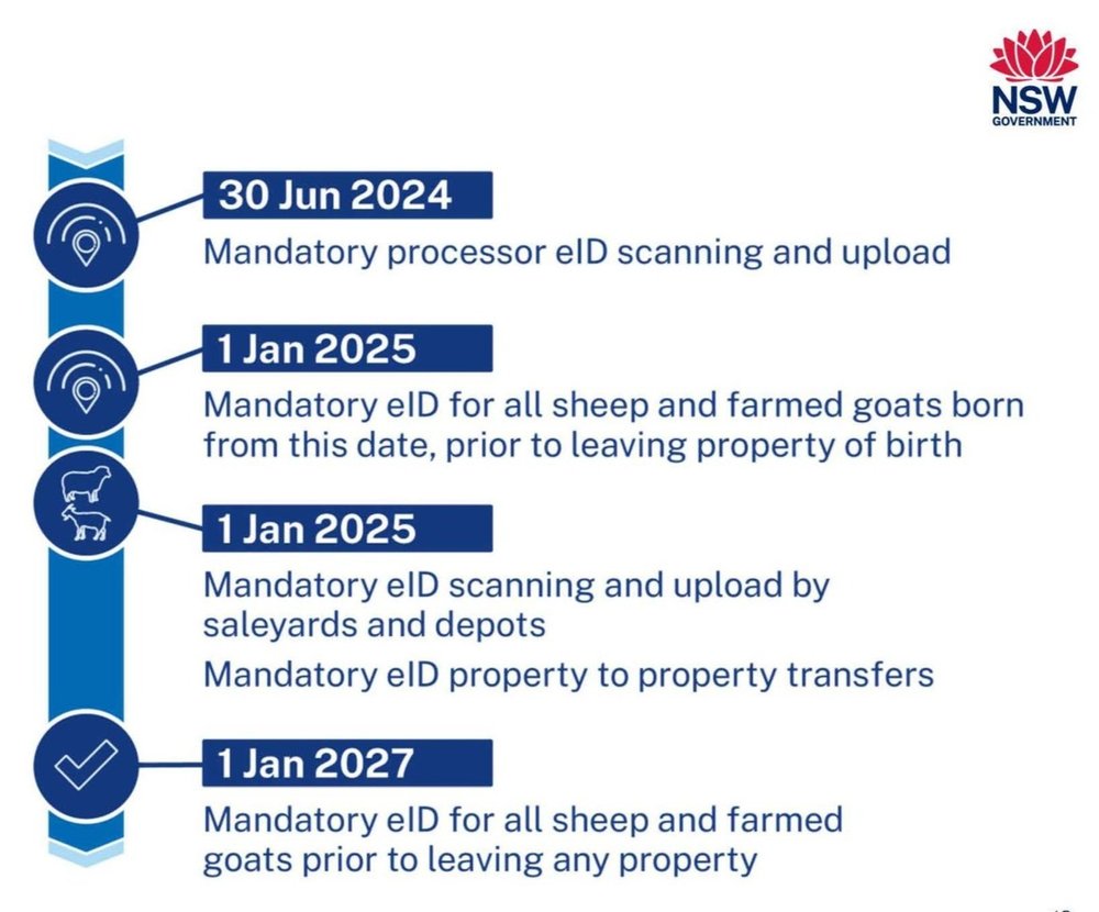 NSW Sheep & Goat eID Transition is underway — GLENRAC