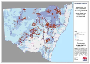 Local Land Services delivered $13 million Feral Pig Program in response ...