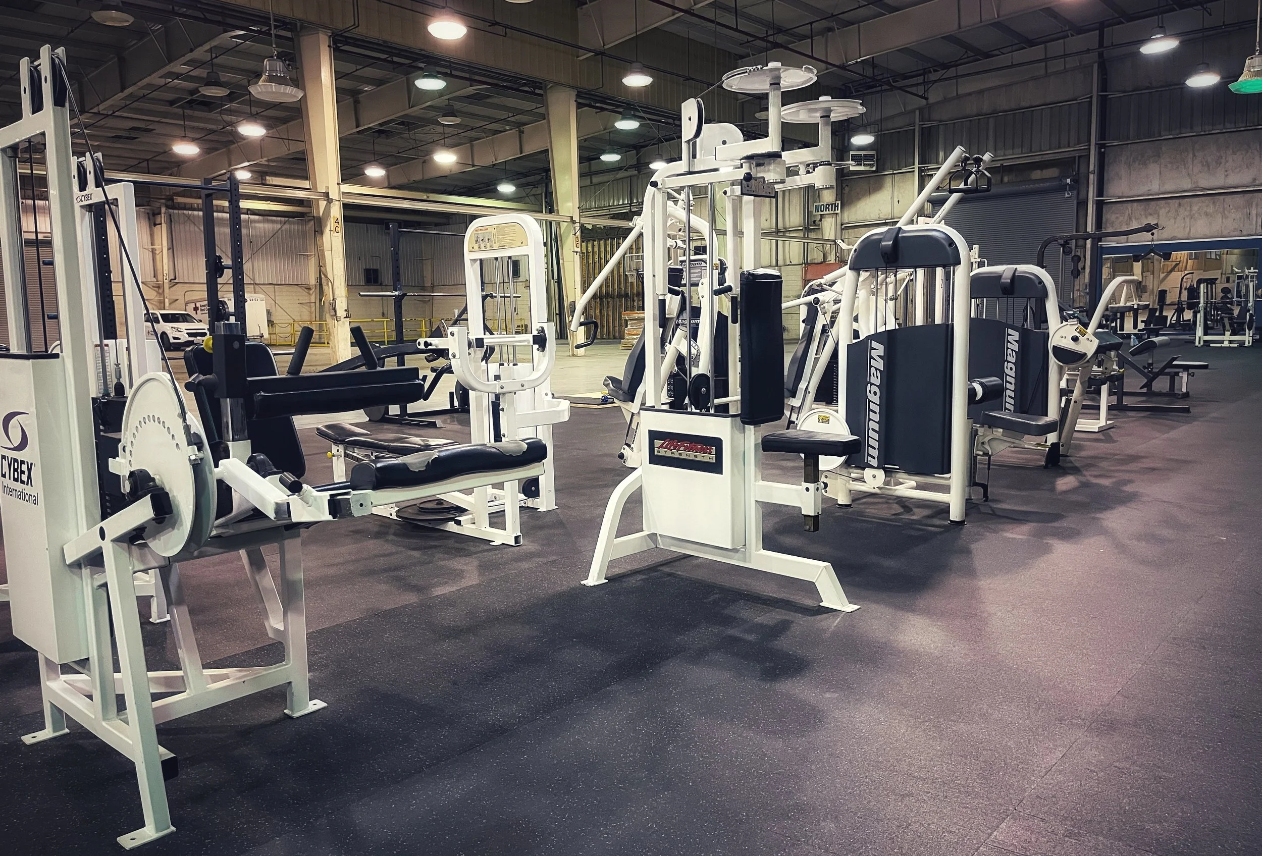 Gallery 1 — SAVAGE FIT CLUB