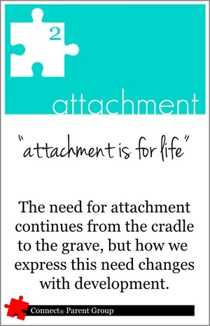 Connect Attachment Program — Connect Attachment Program