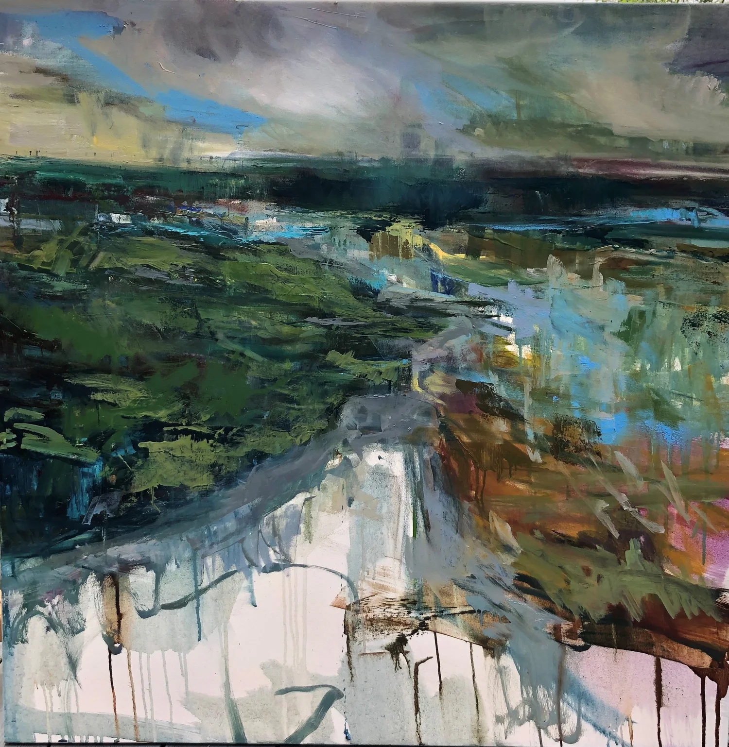 LIZ HANEY