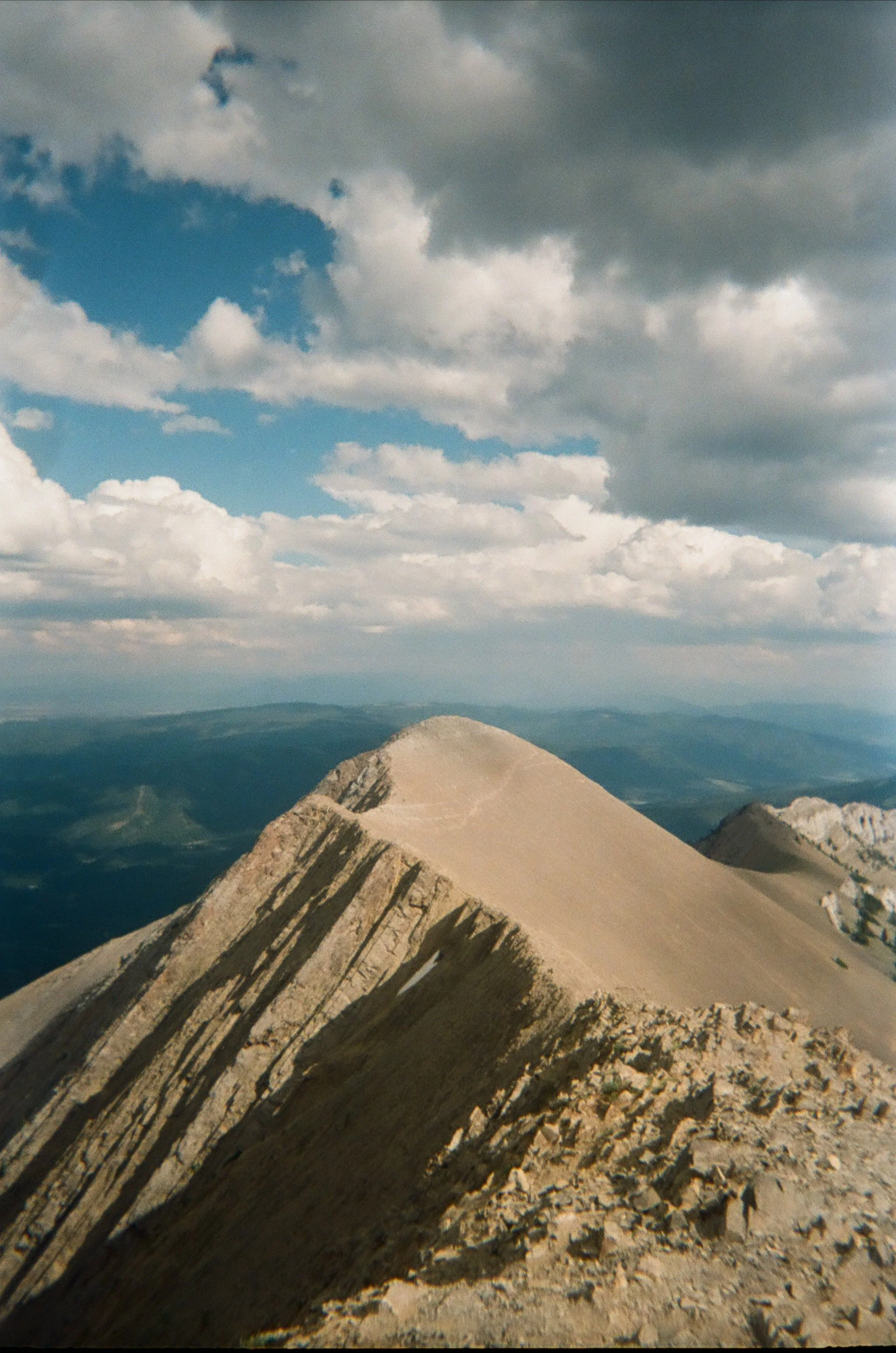 Blog — Homing Instinct - Coaching for Teens and Parents