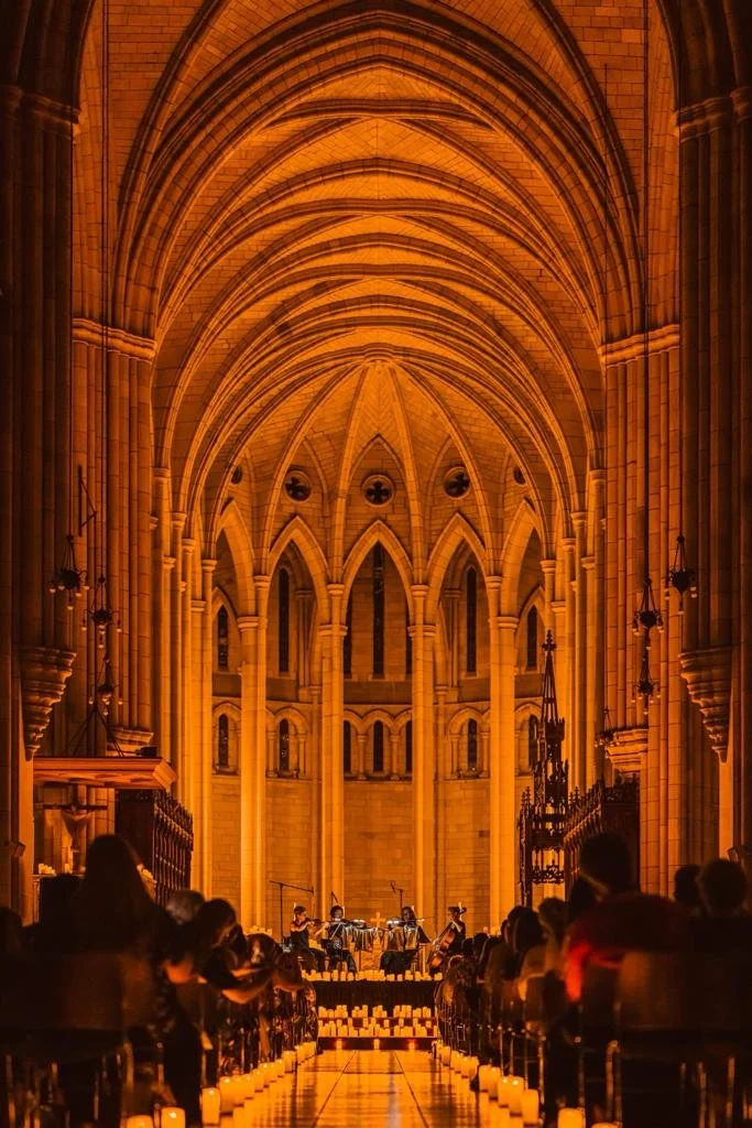 Upcoming Concerts — Paradiso Strings - Brisbane string quartet