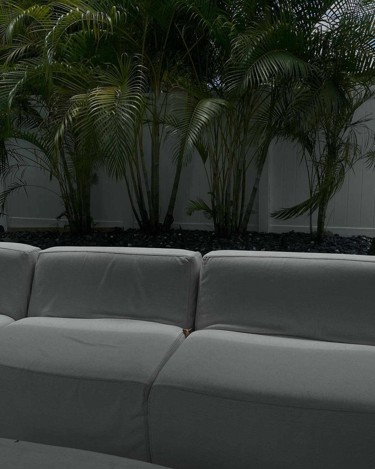 Currently — Emily J. Reidy