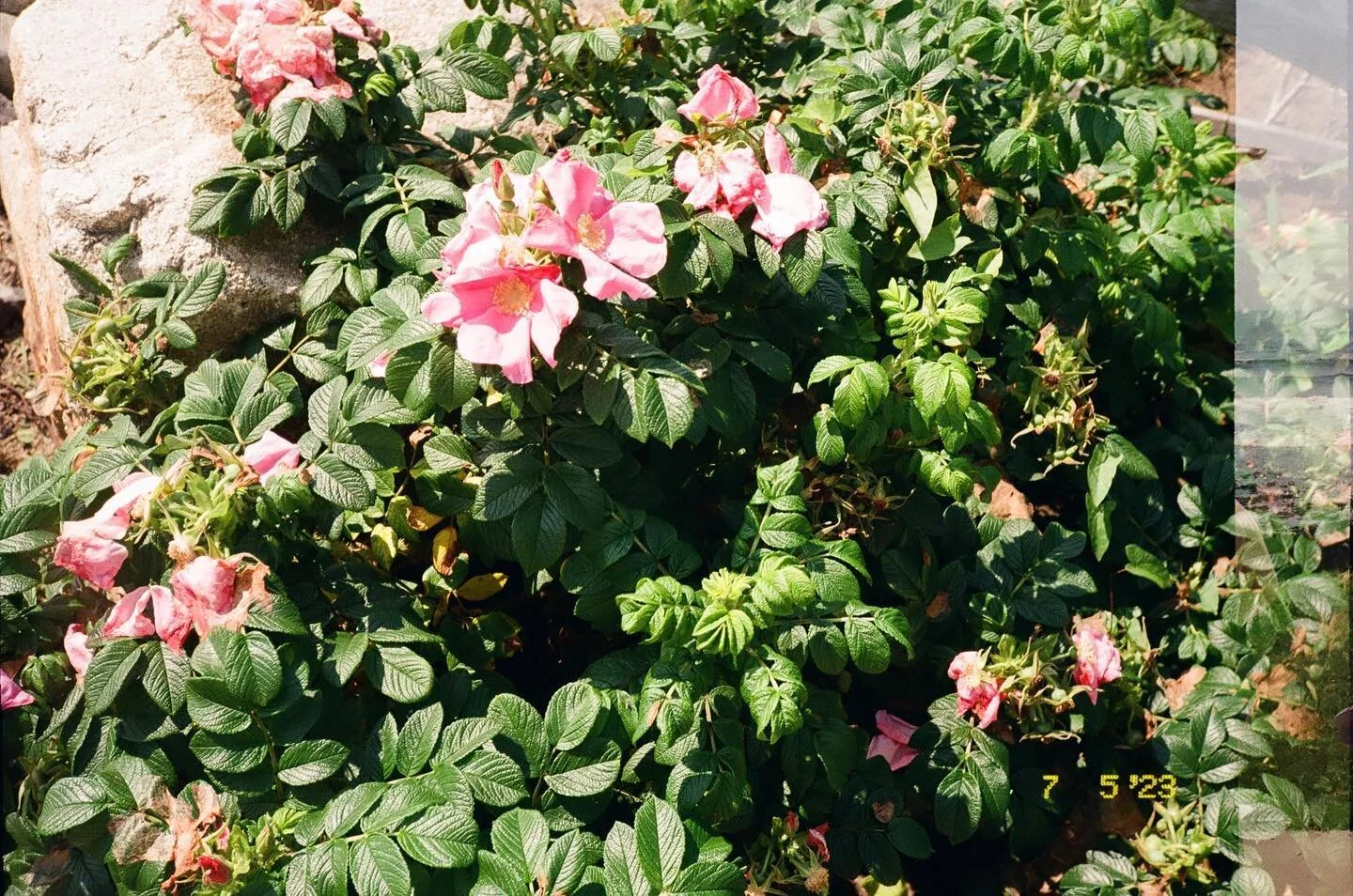 Currently — Emily J. Reidy