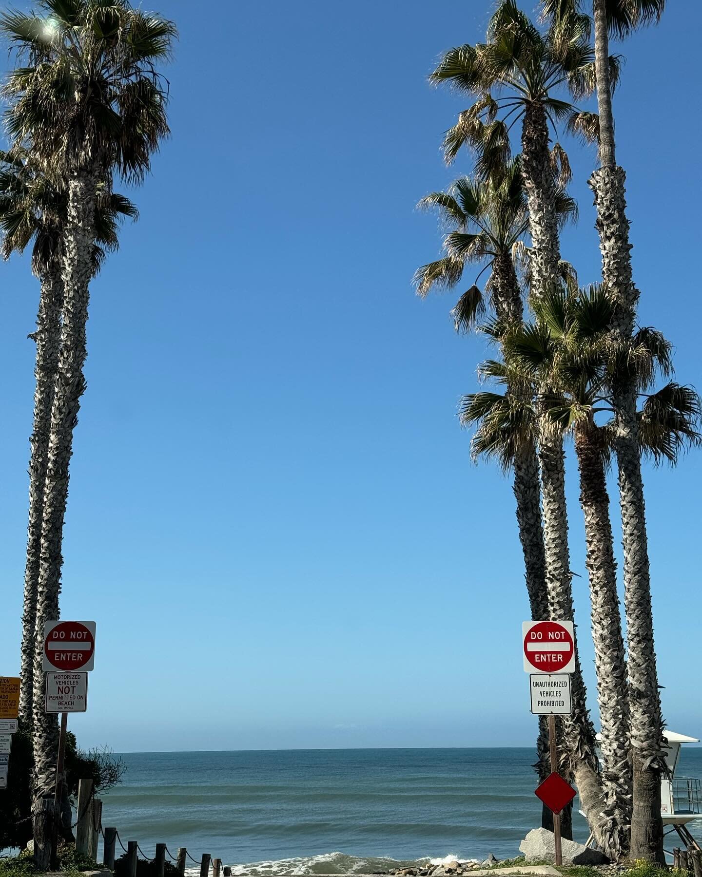 Currently — Emily J. Reidy