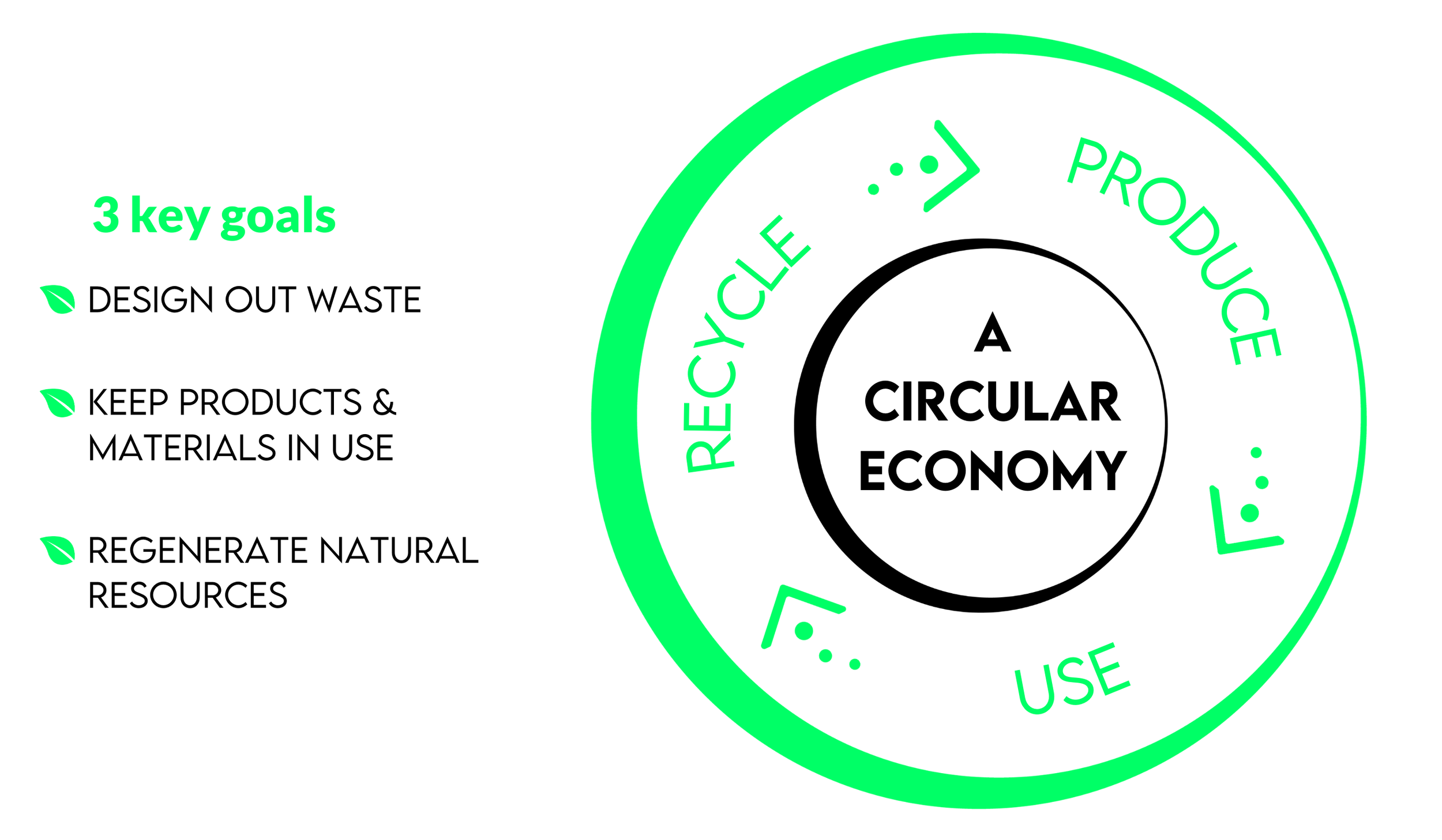 What is the Circular Economy? — The Circularity Coach