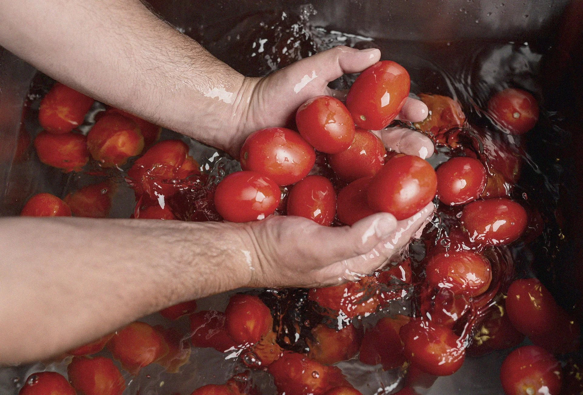 One Sneaky Cheetah | Best Pizza in Adelaide | Wood Fired Pizza
