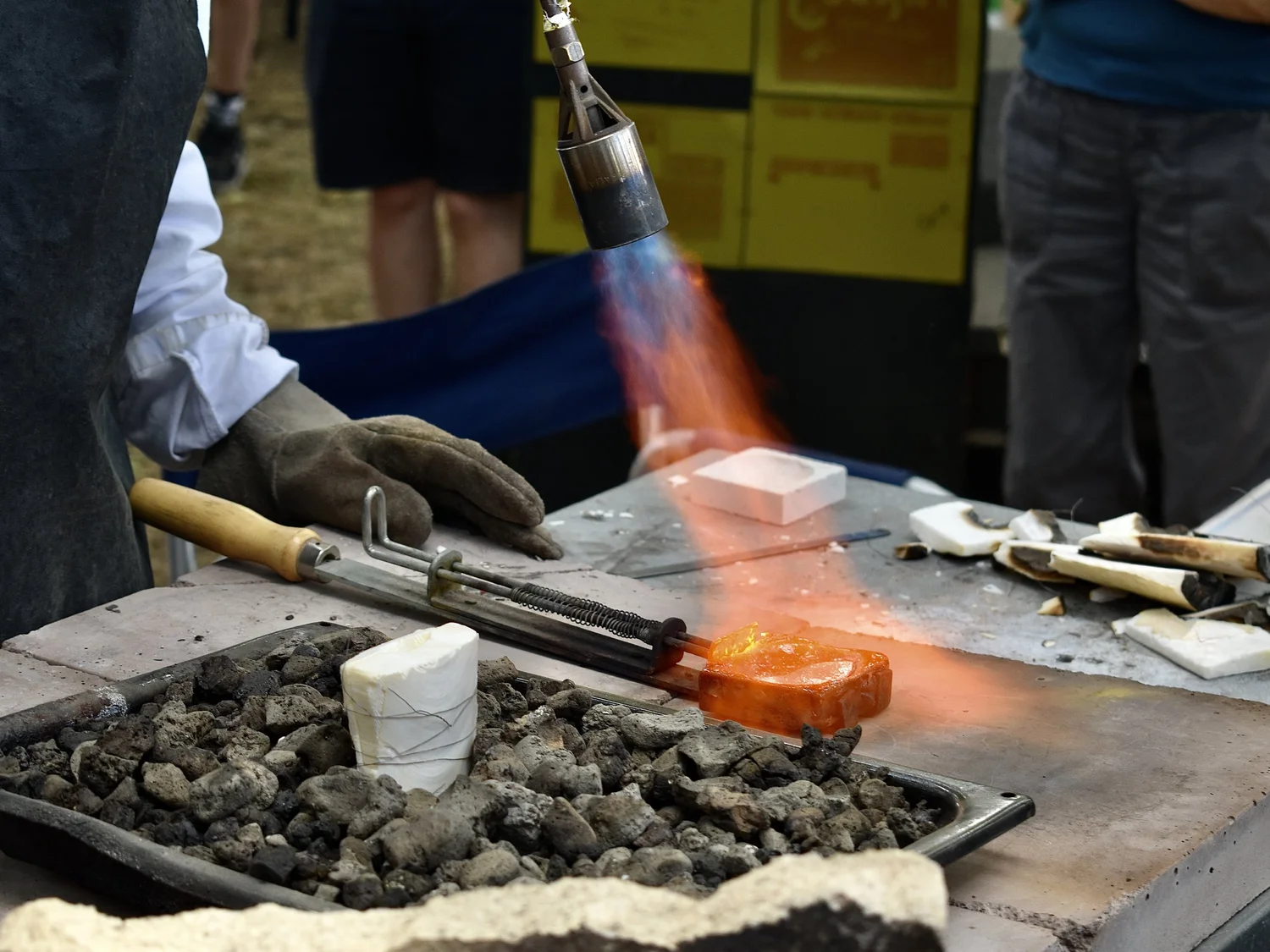 Cuttlefish casting a demonstration of the technique and its influence ...