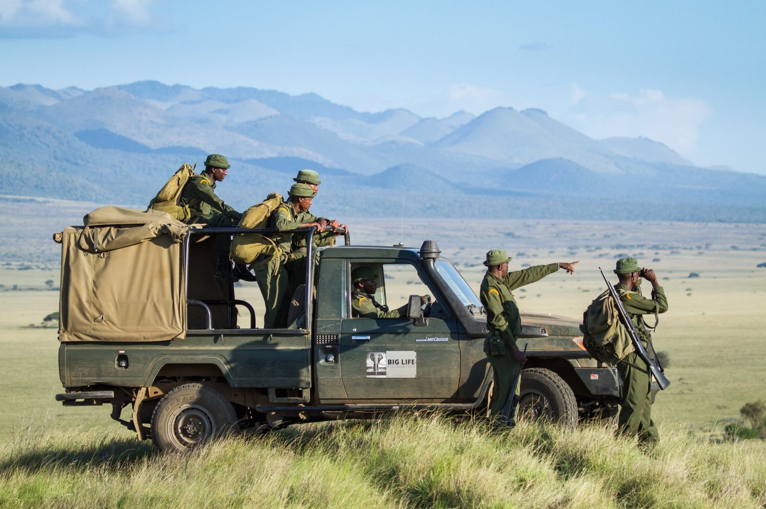 Anti-Poaching — Elephant Gin Foundation
