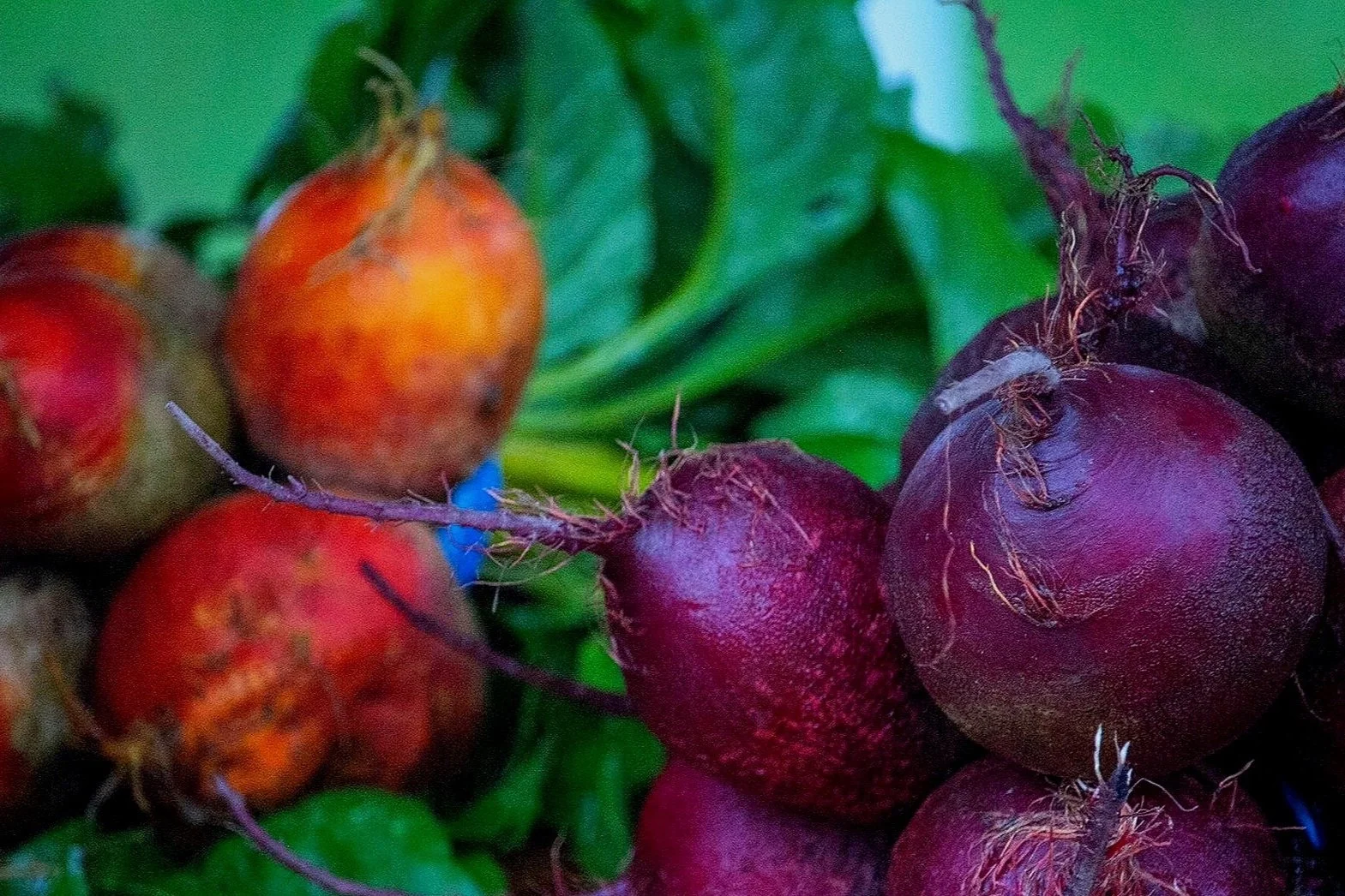 Up Beet Farm