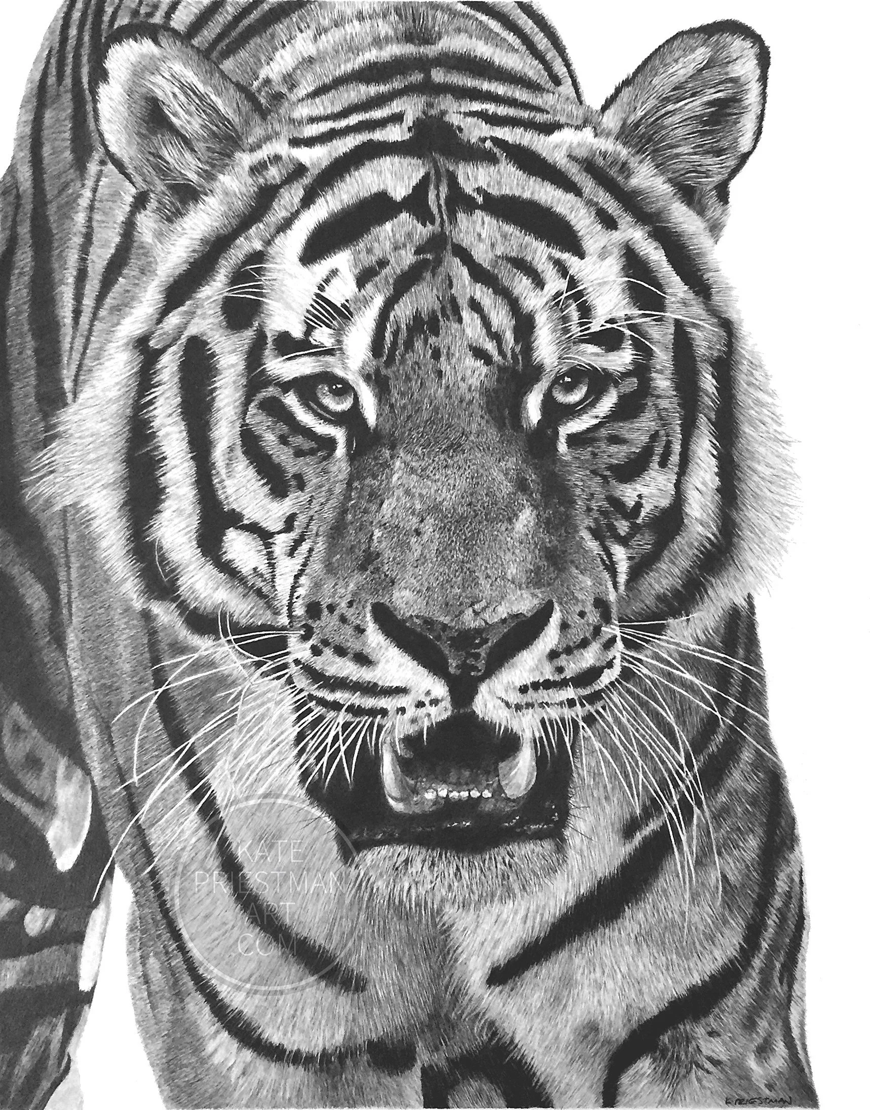 Shop — Kate Priestman Art