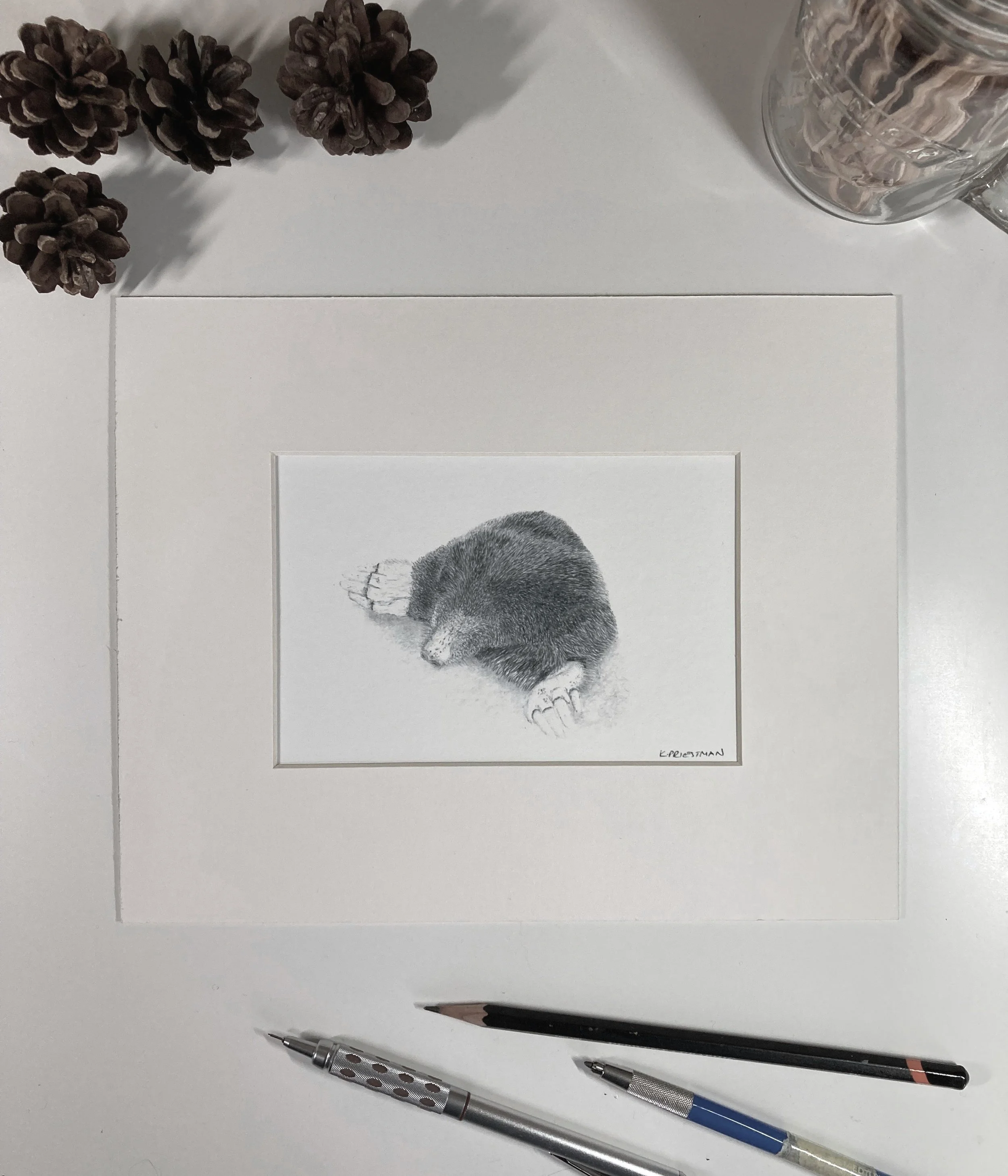 Shop — Kate Priestman Art