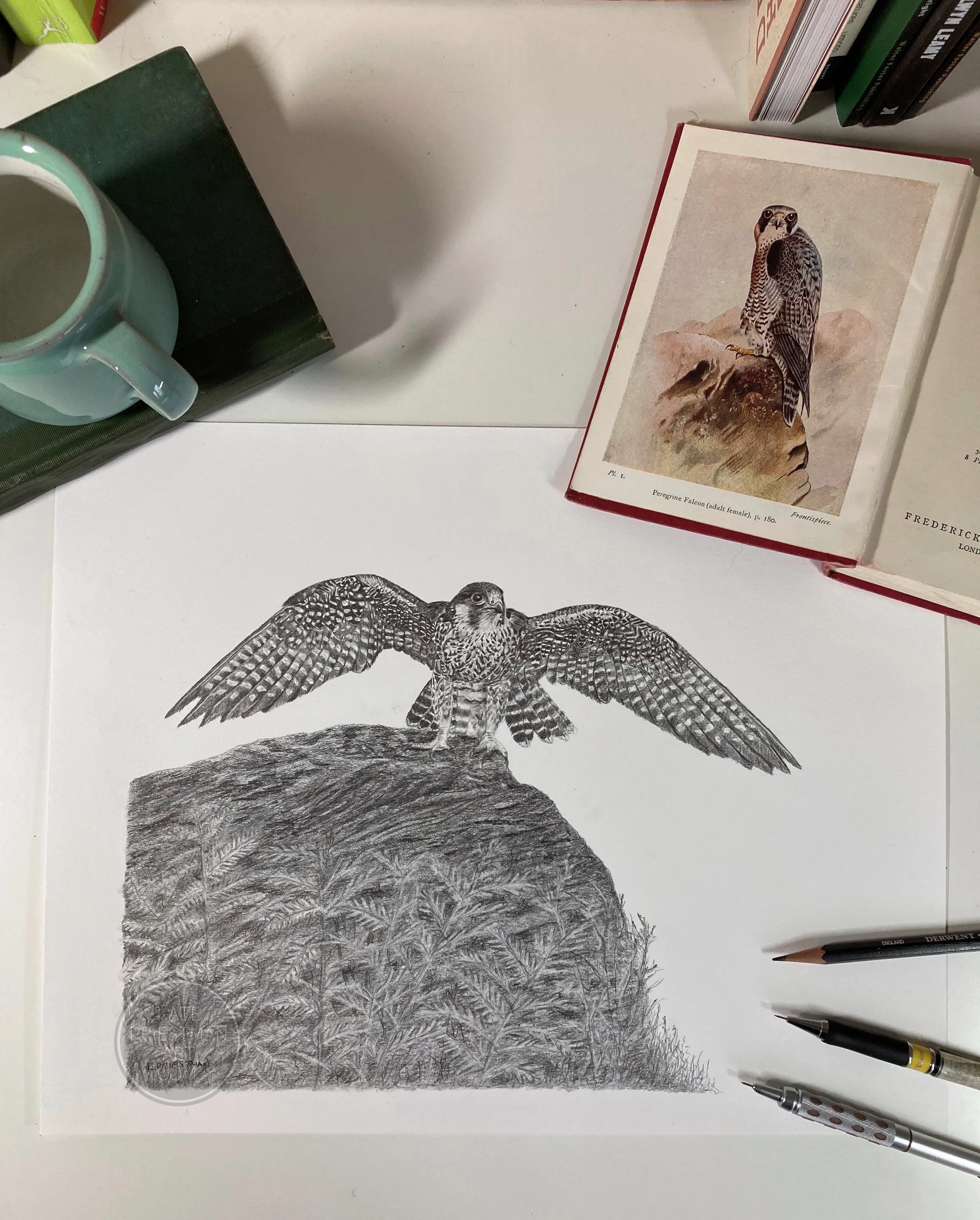 Shop — Kate Priestman Art