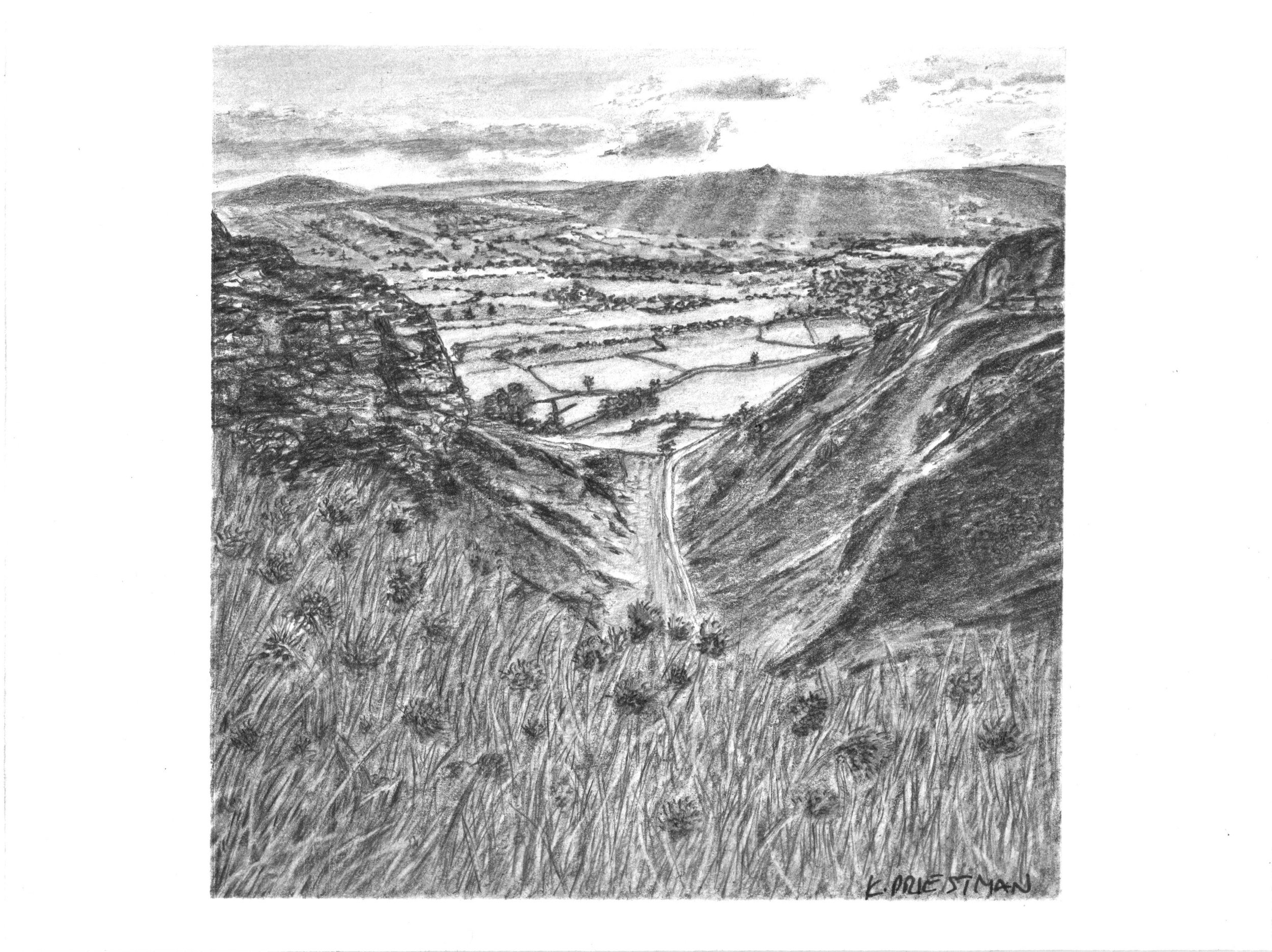 Shop — Kate Priestman Art