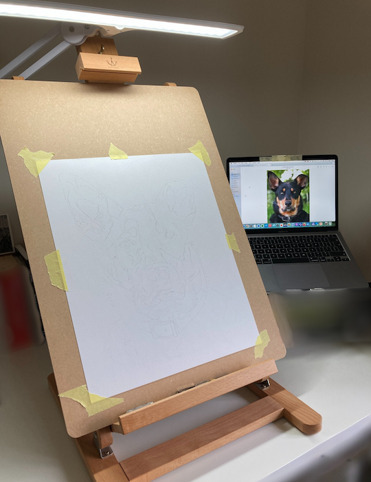Pet portrait art commission — Kate Priestman Art