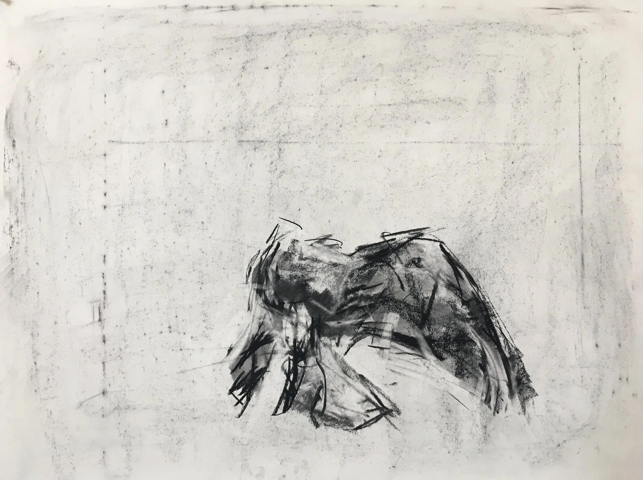 Abstract Charcoal Sketches Of Birds