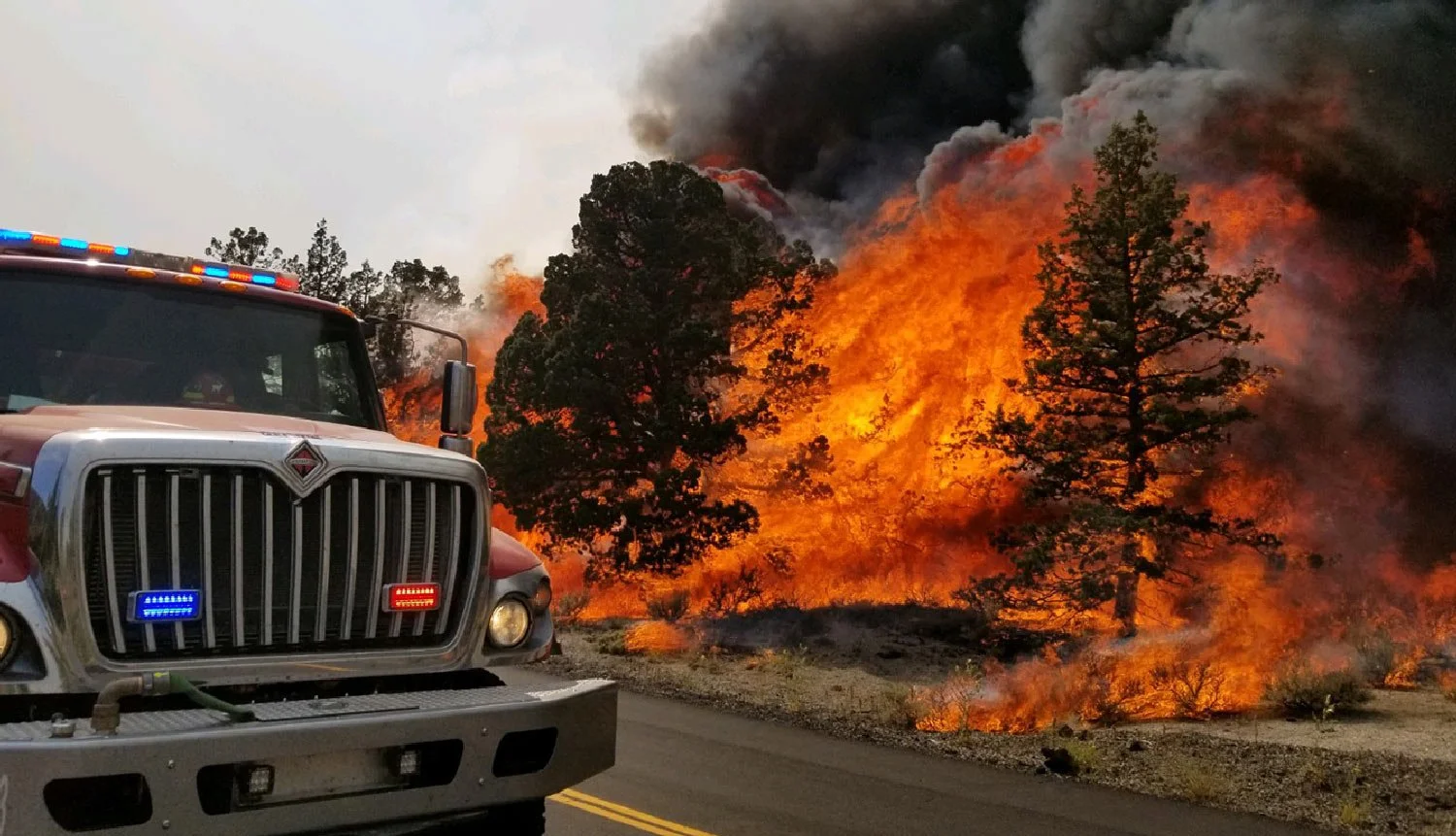 Telluride Fire Protection District