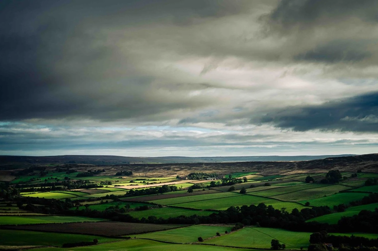 About — Ayriel Studios