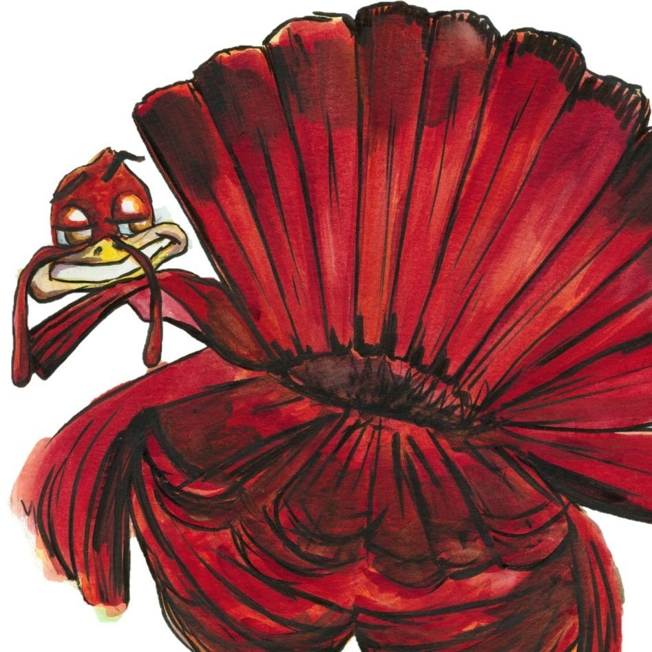 Quirky the Turkey — His Arrowsmith