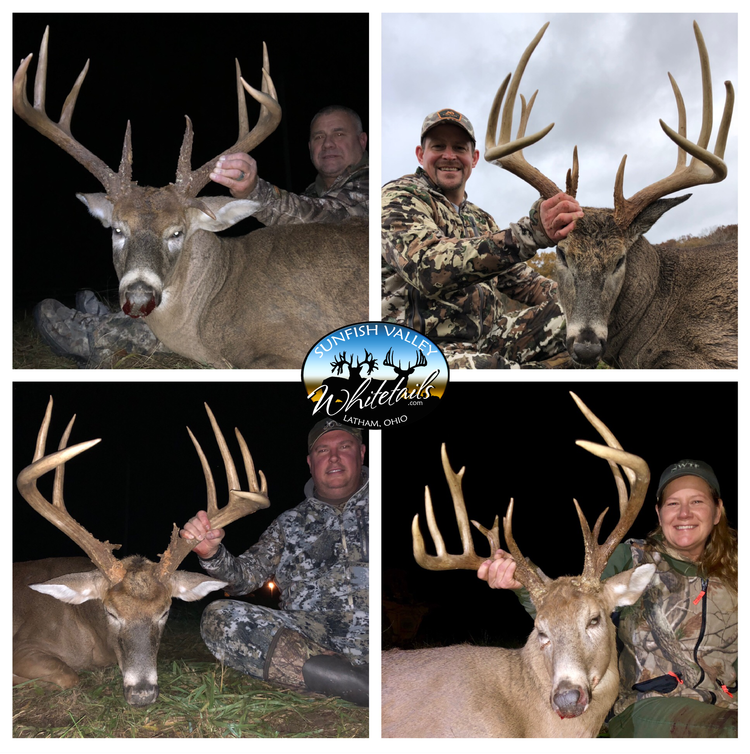 Sunfish Valley Whitetails