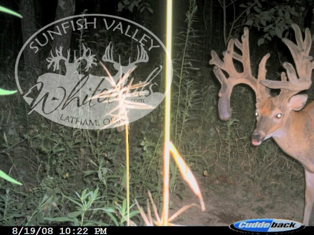 Trailcam Photos — Sunfish Valley Whitetails