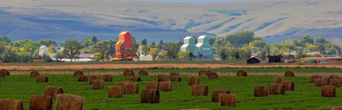 Explore Nanton — Nanton Chamber of Commerce