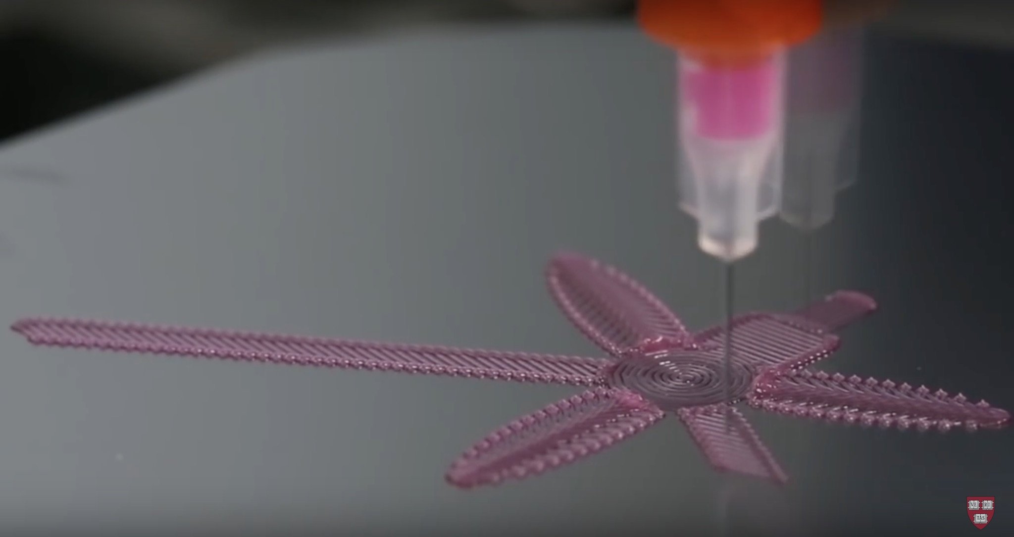 4D Printing — Futures Platform