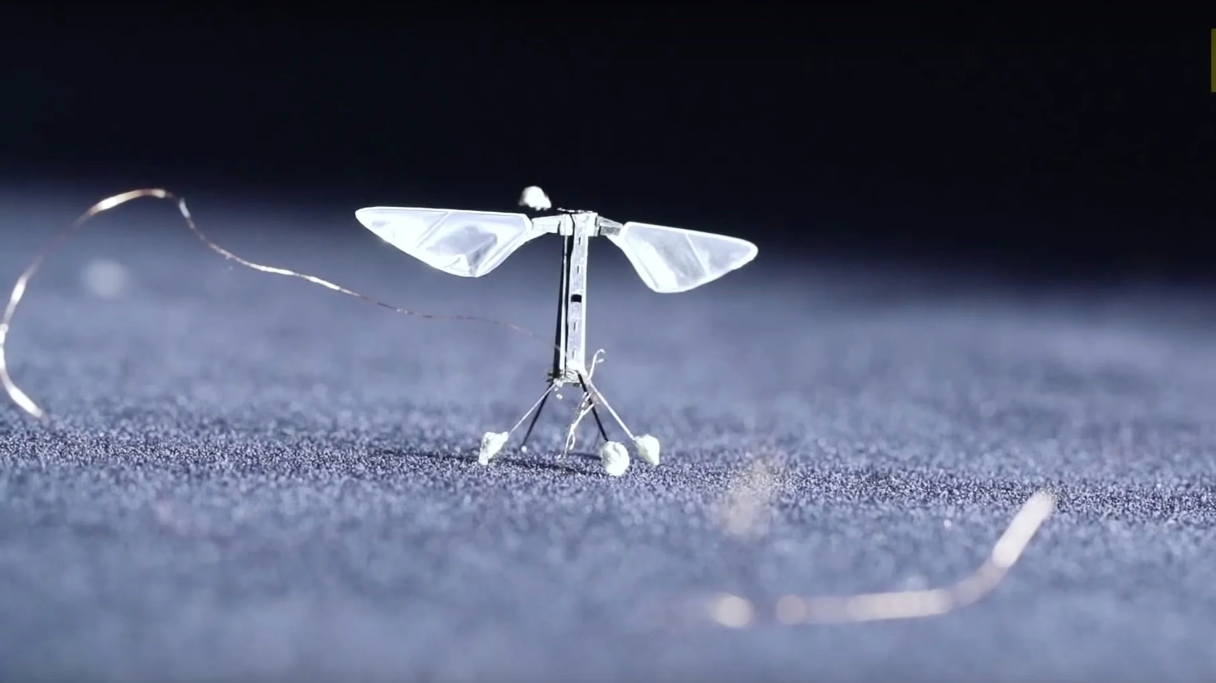 A Revolution of Tiny Robots — Futures Platform