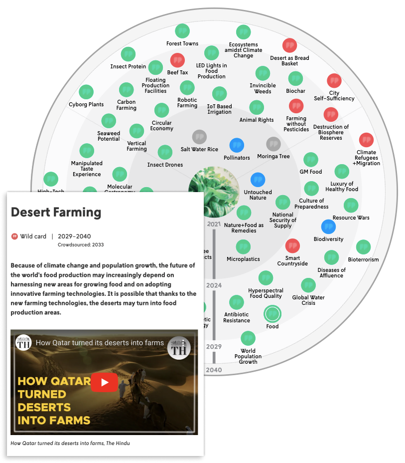 Future Food Production Vertical Farming, The Future For Food