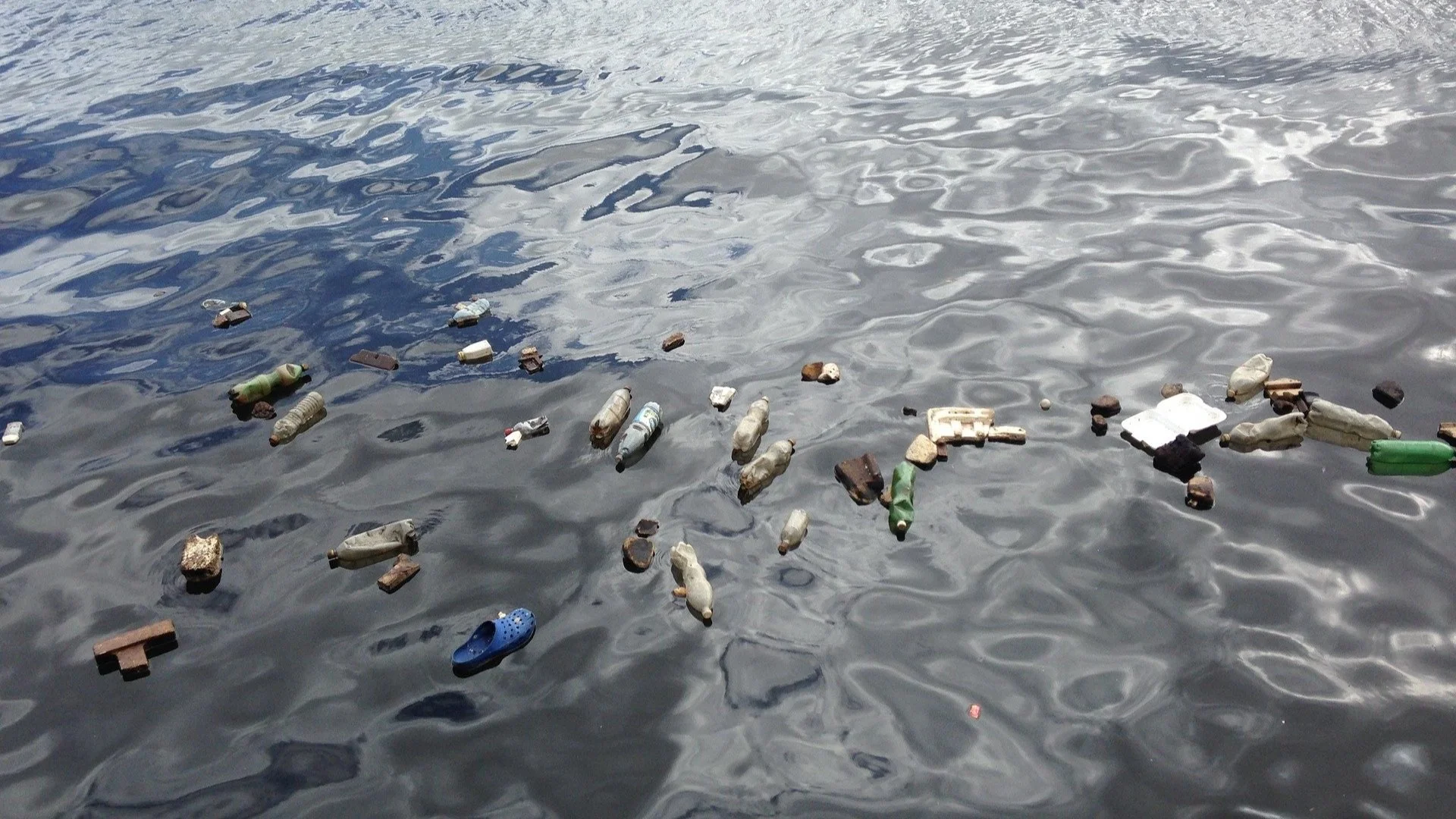 Plastic-Eating Bacteria May Save Our Oceans — Futures Platform