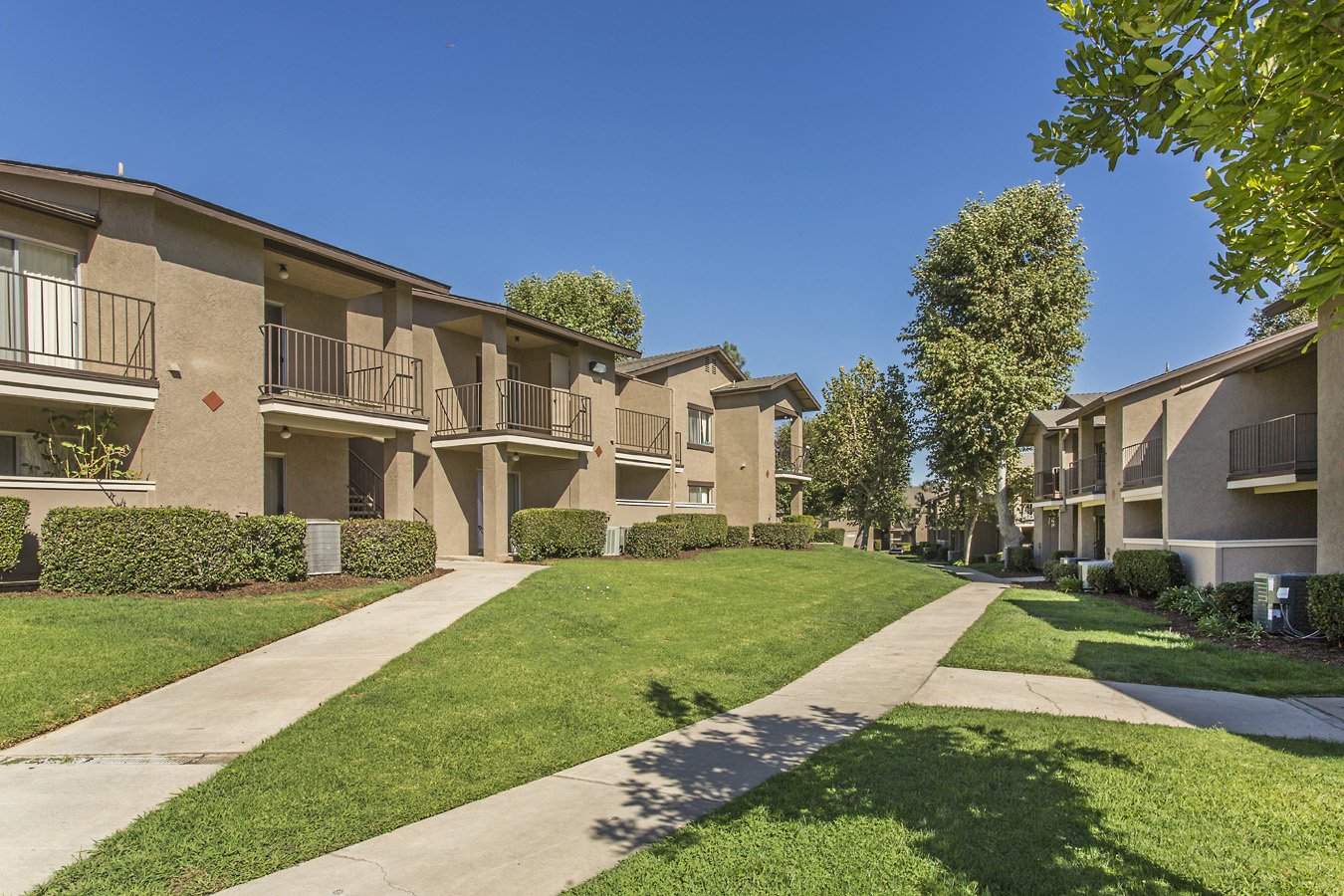Highland Meadows
