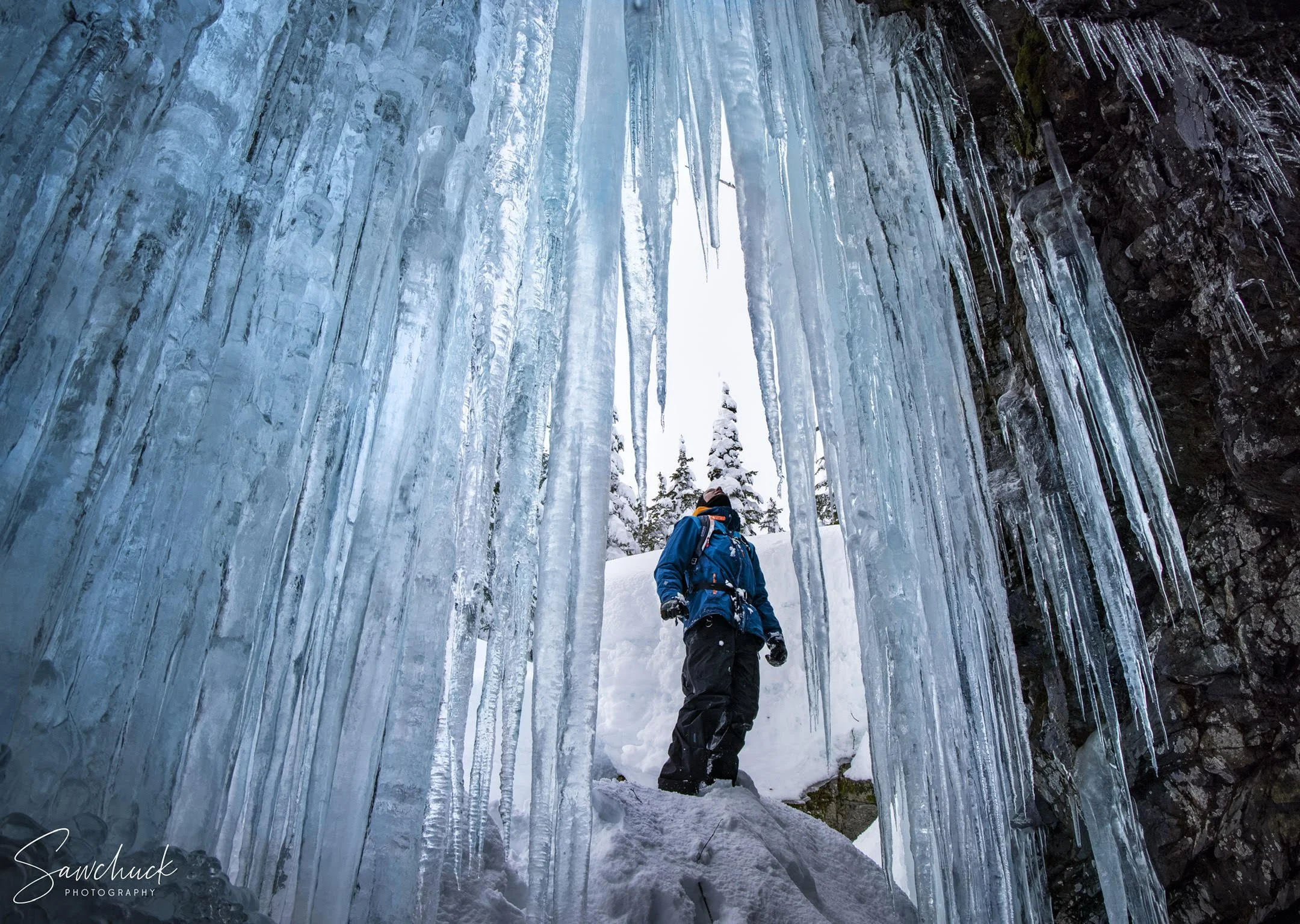 IN DEEP: SLEDDING ON VANCOUVER ISLAND | Let'sRide BC