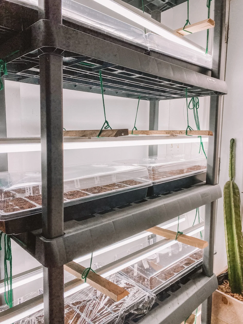 DIY Seed Starting Shelf For Under $100 — The Off Grid Homesteader