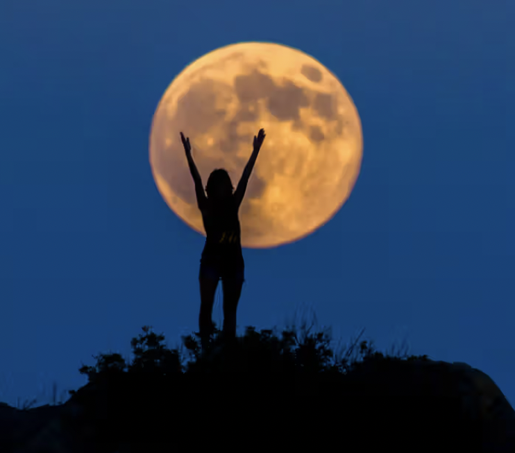 Howling into the Unknown: A Full Wolf Moon Sound Ceremony with Susannah ...