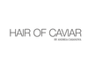 Hair Styled By Kelly | Transform Your Look Today | Book Now