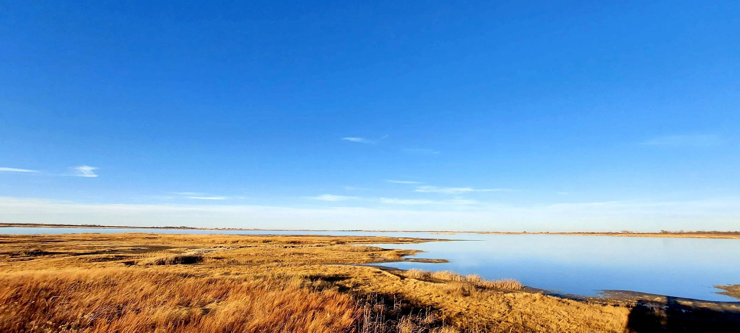 Quivira National Wildlife Refuge — Birdhouse.farm