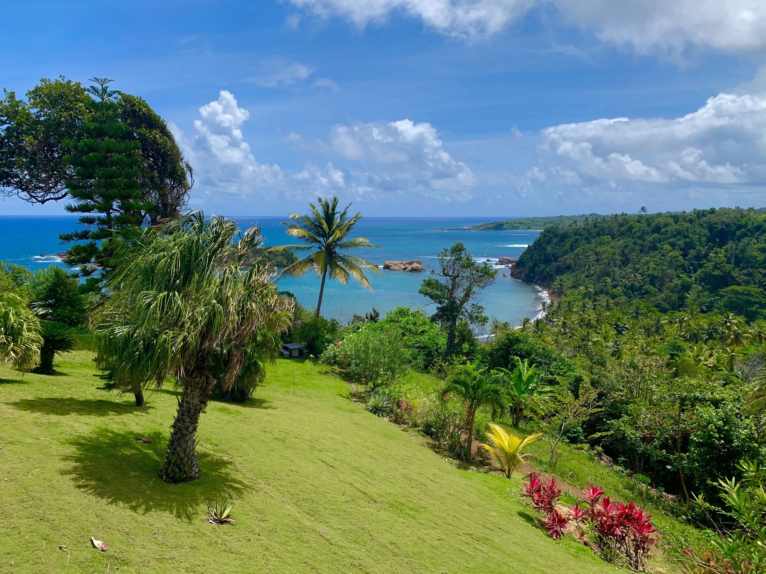 STAY — Sea Cliff Dominica