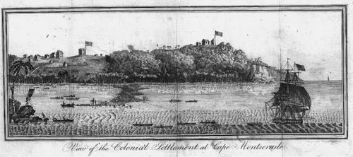 The American Colonization Society (ACS) and Liberia: Unforeseen ...
