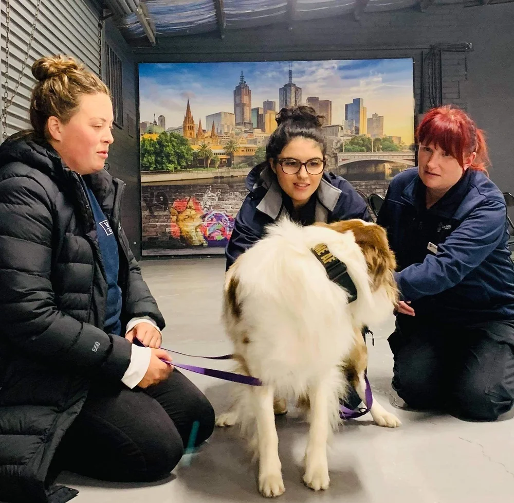 EVENTS — Dr. Michelle Rassool