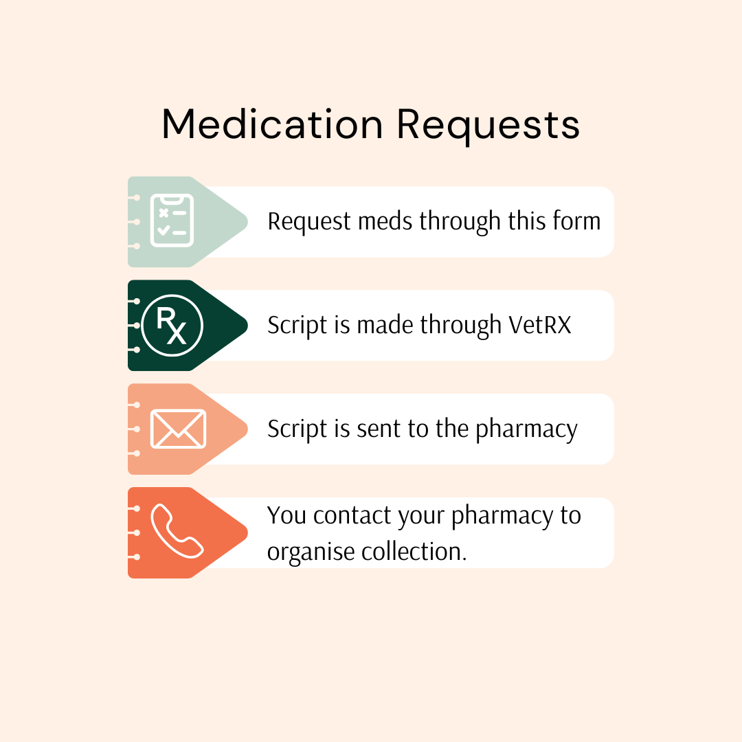 Appointments 3 — Dr. Michelle Rassool