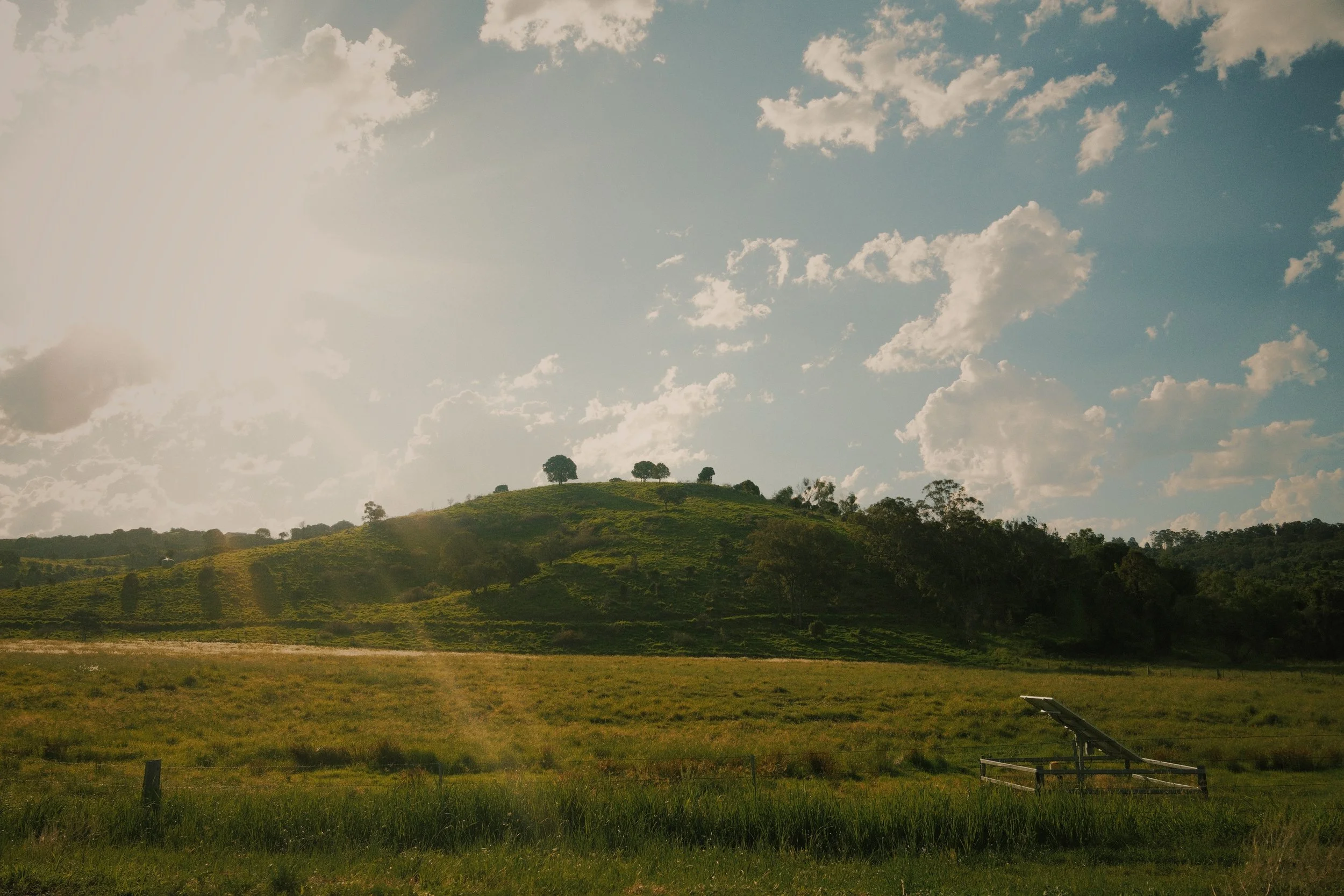 Contact Lachlan Dale – Family Photographer Ipswich & Lockyer Valley ...