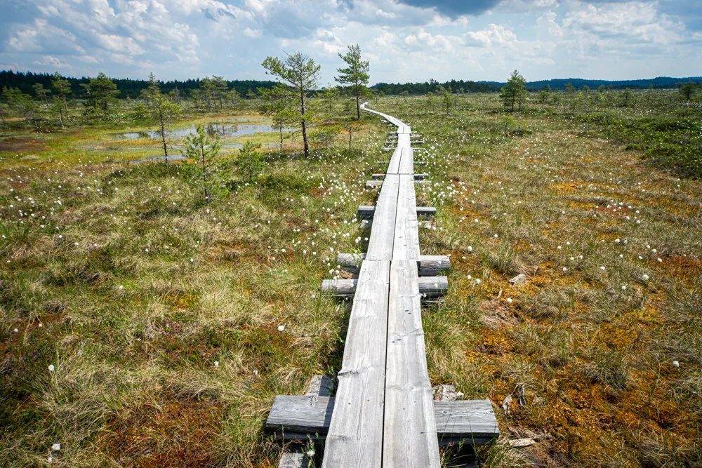 Torron suo - The swamp of the Torro's village — Helena Perhonen - photos