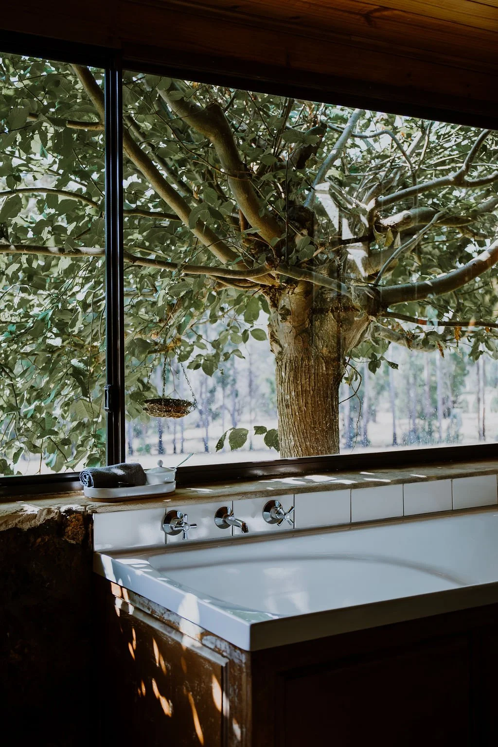 Historic Clover Cottage Country Retreat