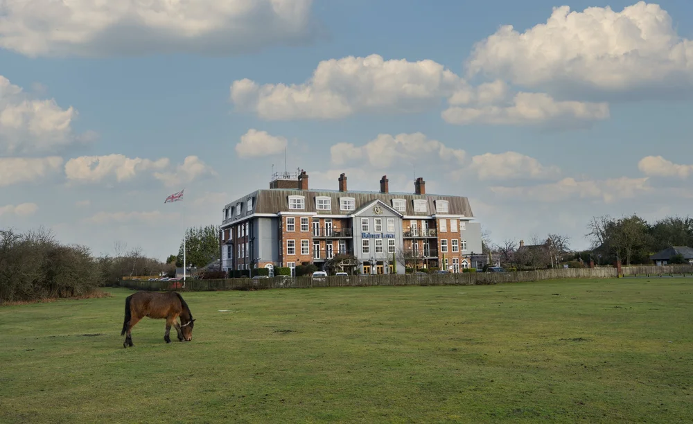 Frequently Asked Questions - Balmer Lawn