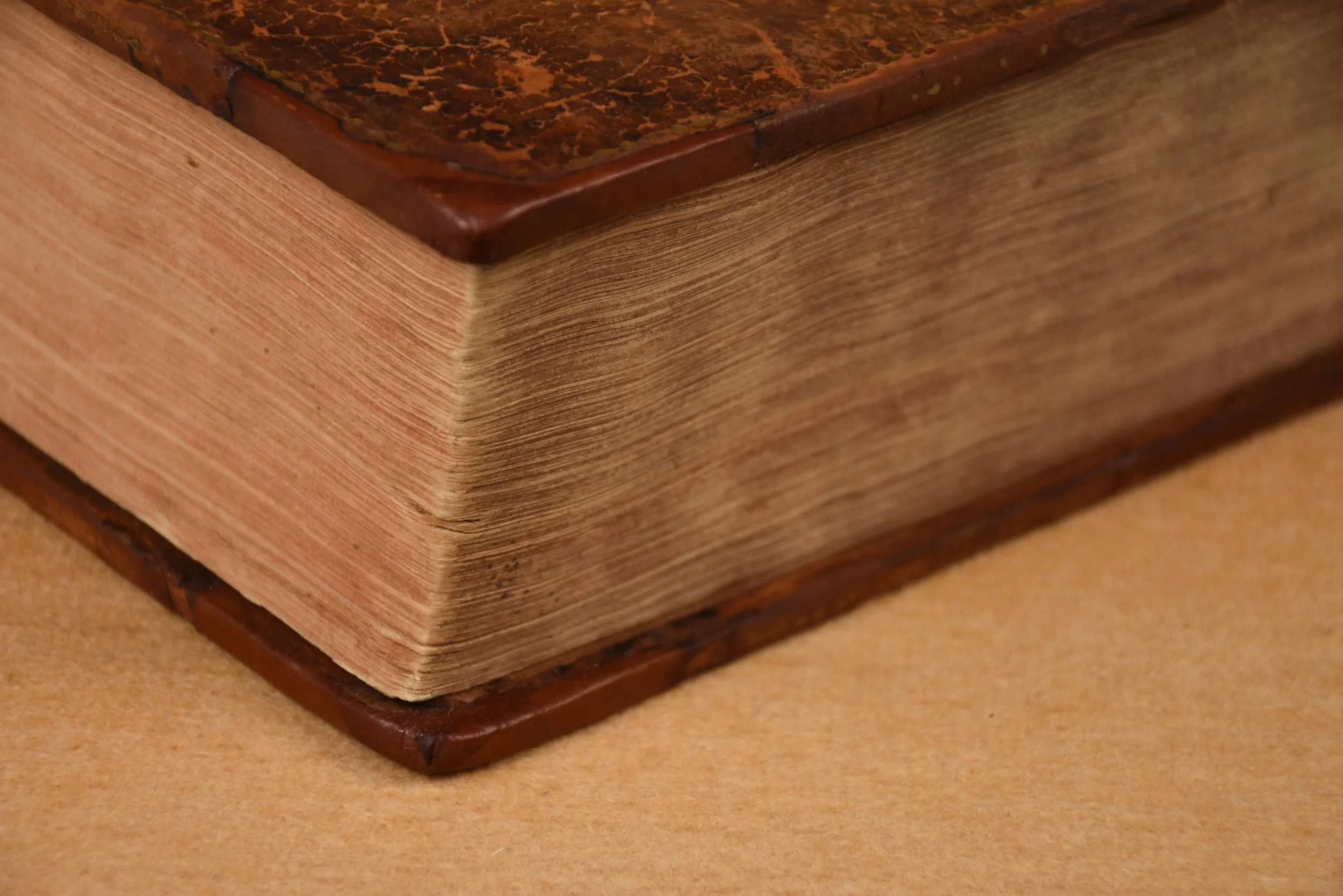 Book Restoration & Conservation — Praxis Bindery