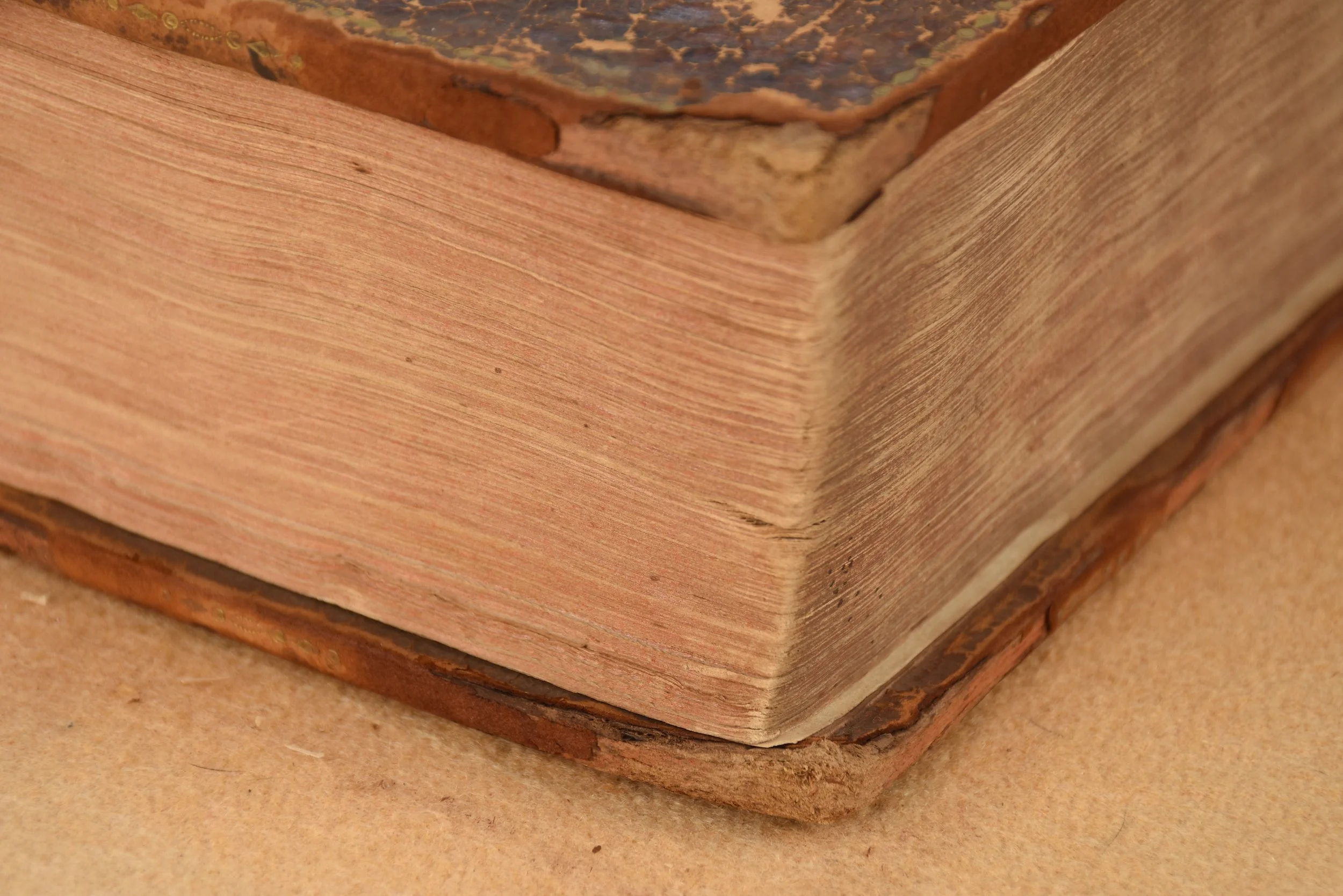 Book Restoration & Conservation — Praxis Bindery