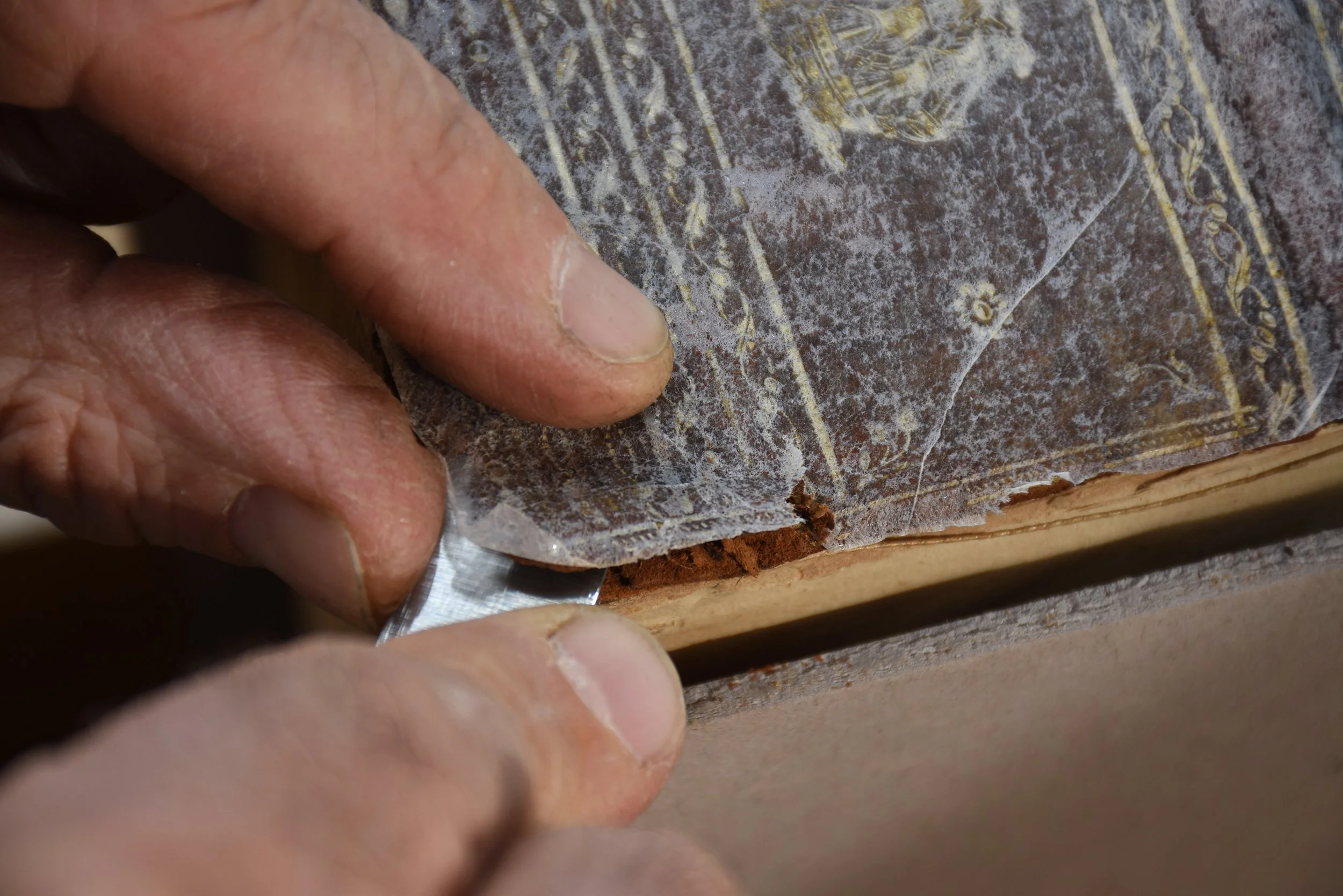 Book Restoration & Conservation — Praxis Bindery